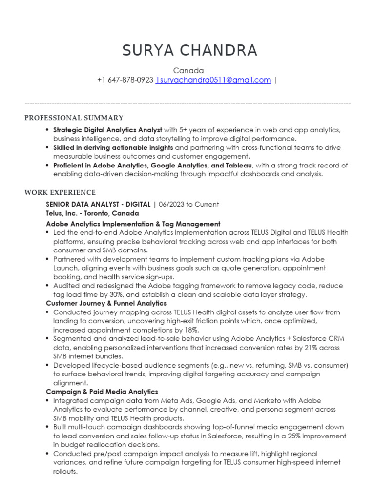 Digital Analytics Expert Resume | PDF | Analytics | Customer ...