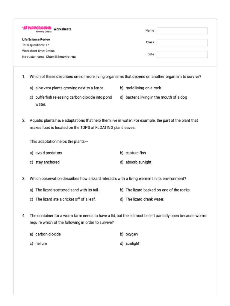 Quizizz - Life Science Review | PDF | Foods | Trees