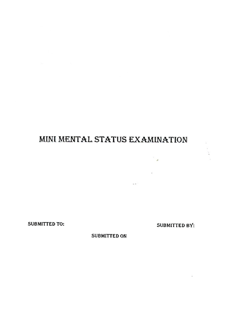 Mini Mental Status Examination | PDF