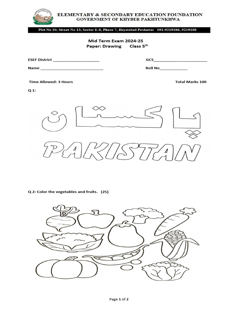 5th Class Drawing Exam Paper 2024 | PDF