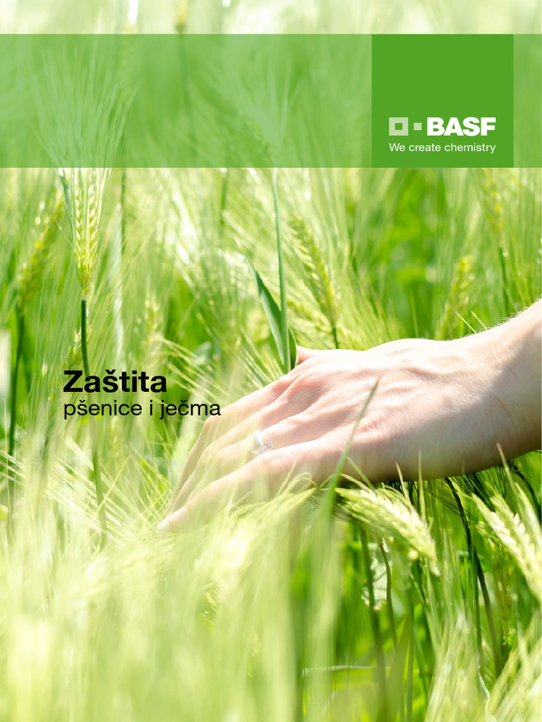 Brosura Psenica I Jecam | PDF