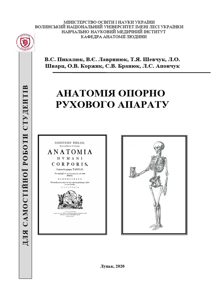 Anatom Oporn Aparat | PDF