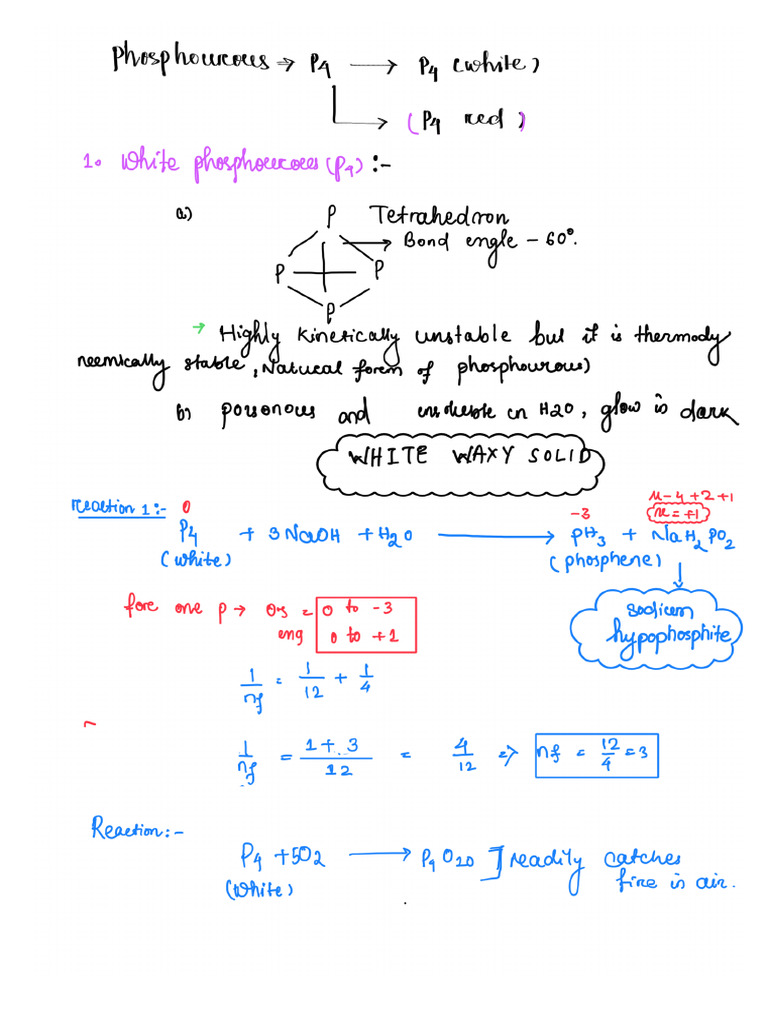Py (White | PDF