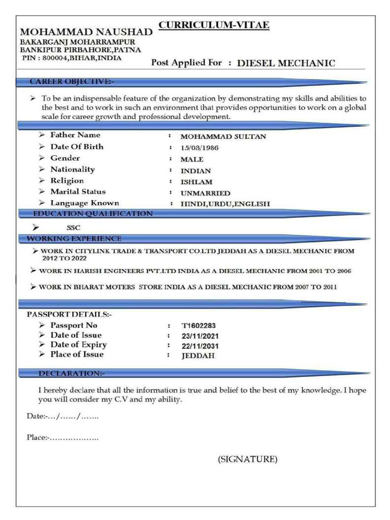 Mohammad Naushad - Diesel Mechanic | PDF