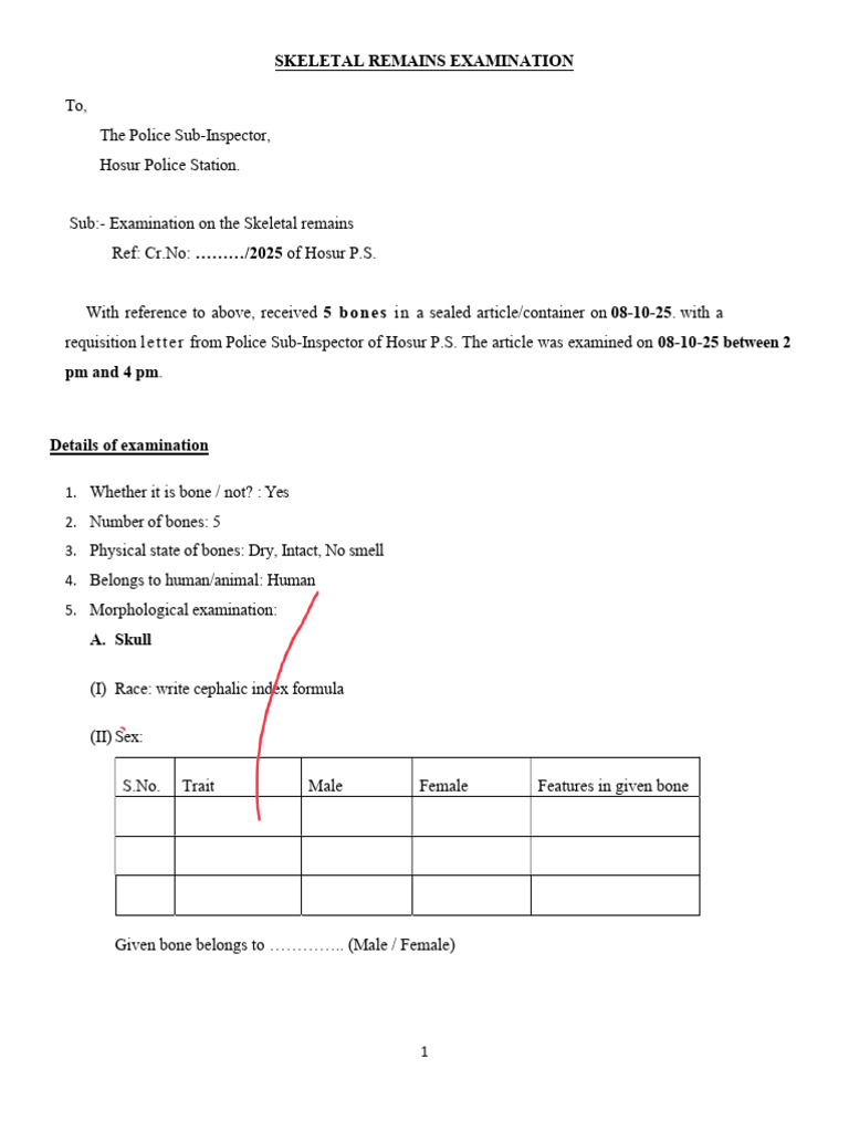 Human Skeletal Remains Examination Report | PDF