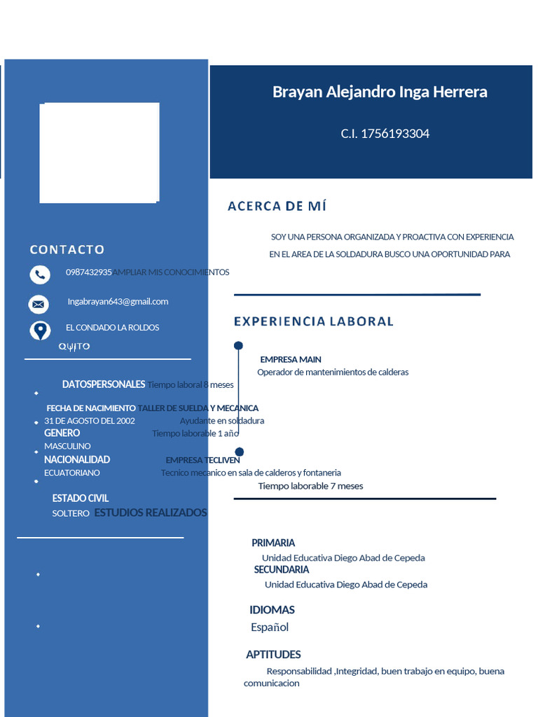 Brayan Inga Curriculum | PDF