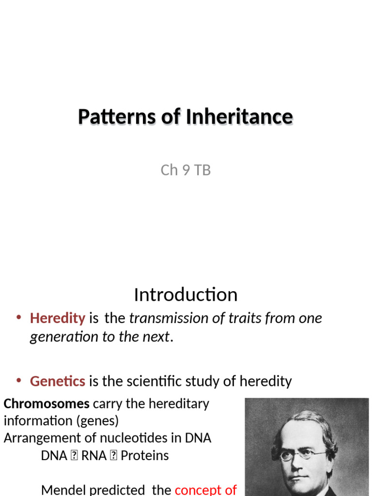Mendelian Genetics and Inheritance Patterns | PDF | Dominance (Genetics ...
