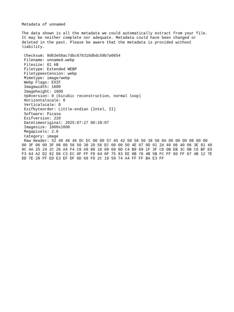 Unnamed.json Metadata | PDF