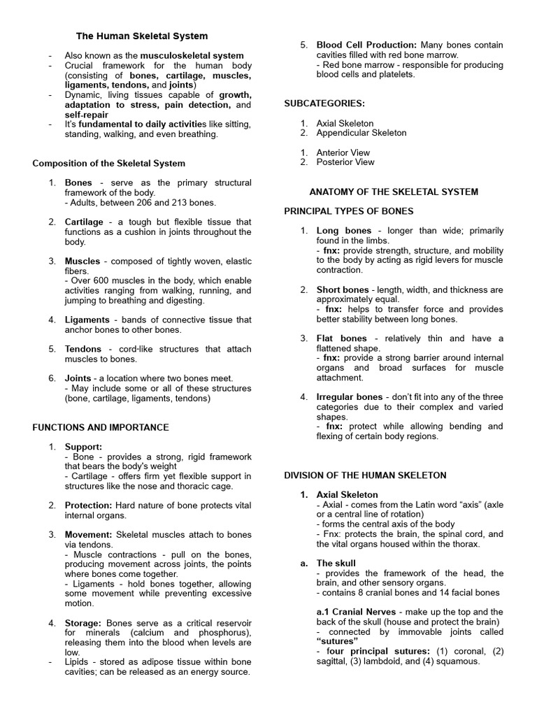 Calcium Balance in Skeletal Health | PDF | Vertebra | Foot