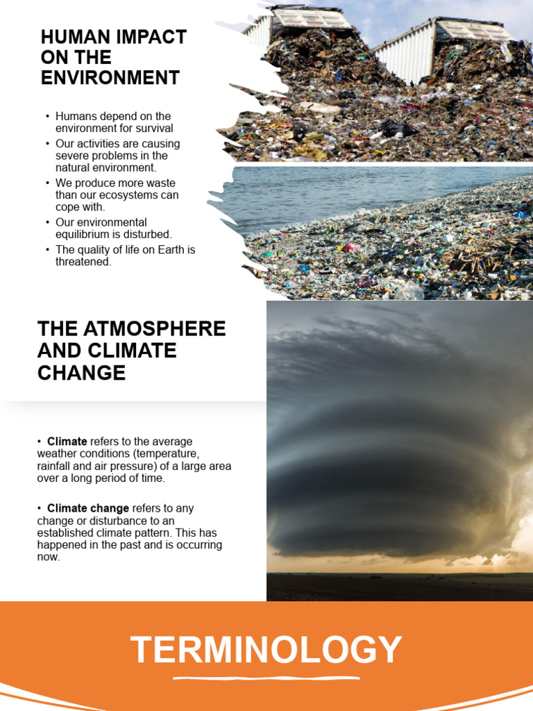Human Impact On The Environment | PDF | Greenhouse Gas | Ozone Depletion