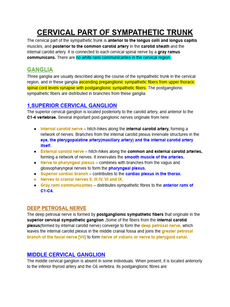 Cervical Part of Sympathetic Trunk | PDF | Common Carotid Artery ...