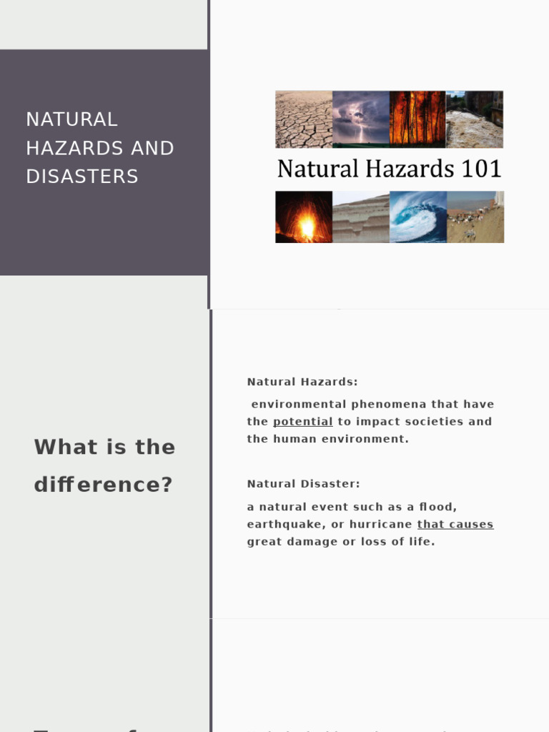 Natural Hazards and Disasters | PDF