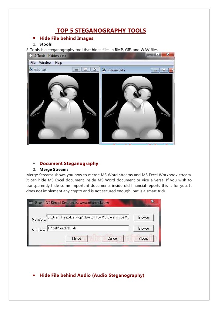 Top 5 Steganography Tools Reviewed | PDF