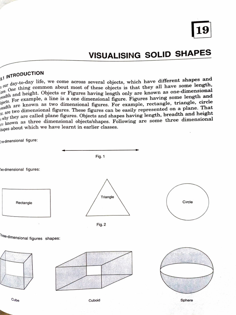Visualising Solid Shapes | PDF | Shape | Vertex (Geometry)