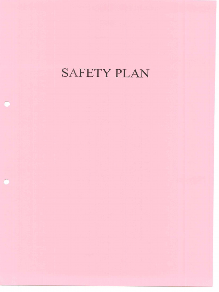 Safety Plan | PDF