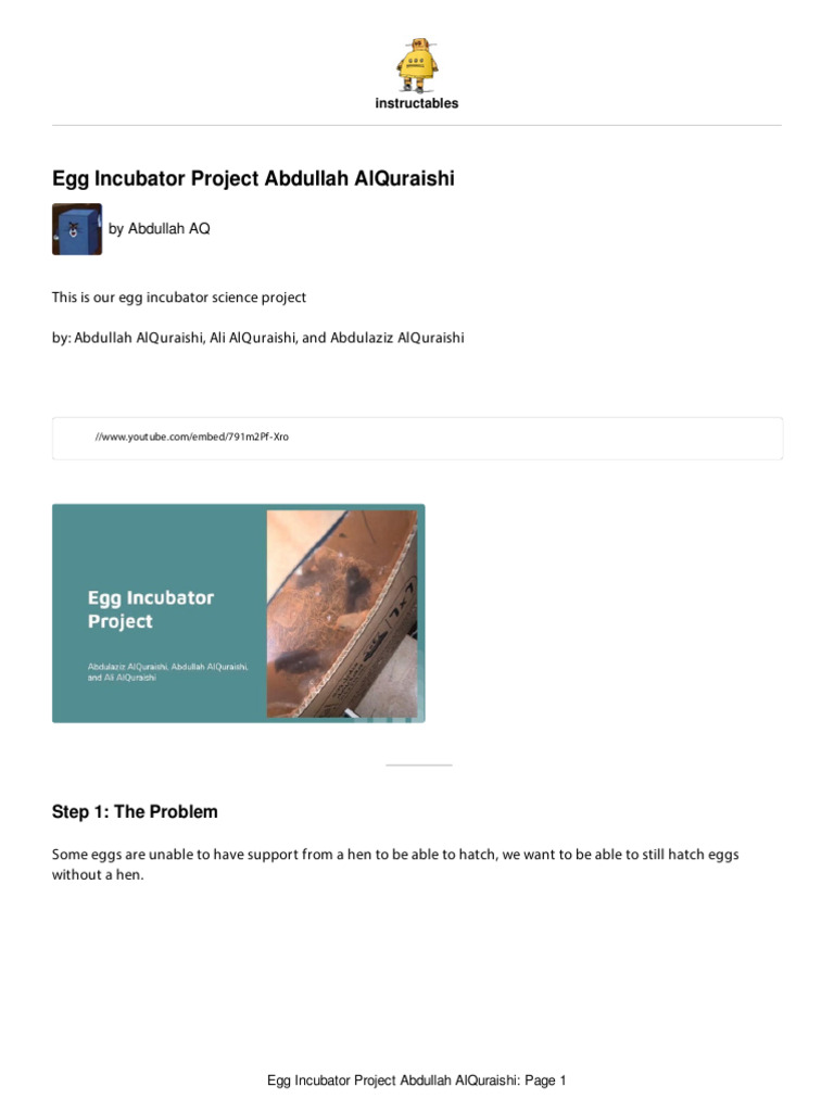 DIY Egg Incubator Project Guide | PDF | Egg