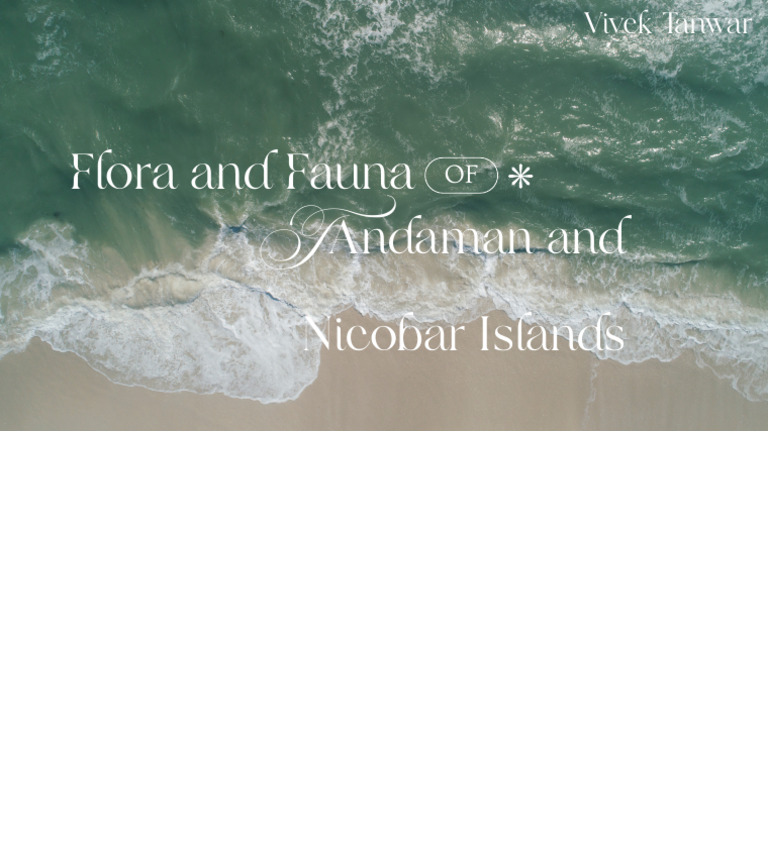 Green Modern Beach View Desktop Wallpaper PDF | PDF
