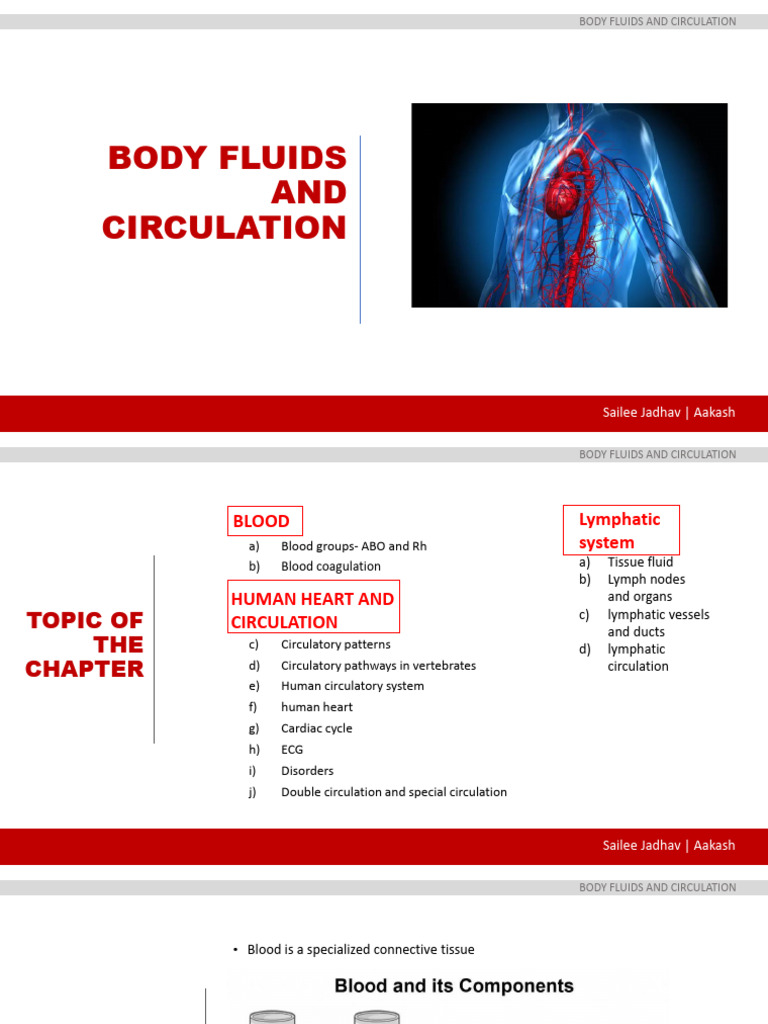 Body Fluids and Circulation Overview | PDF | Heart | Lymph