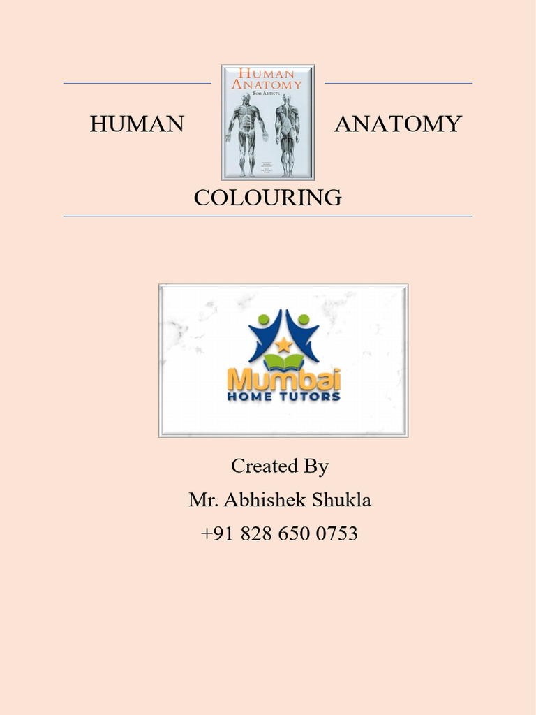 Human Anatomy Colouring Guide | PDF