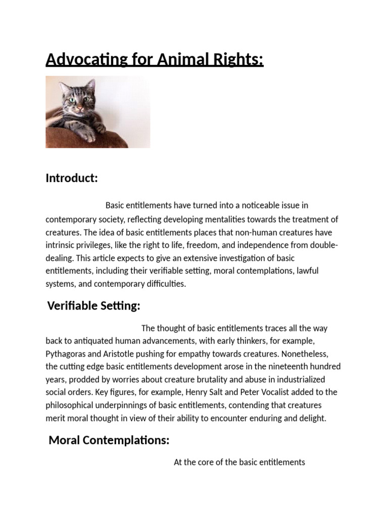 Advocating For Animal Rights | PDF | Morality | Utilitarianism