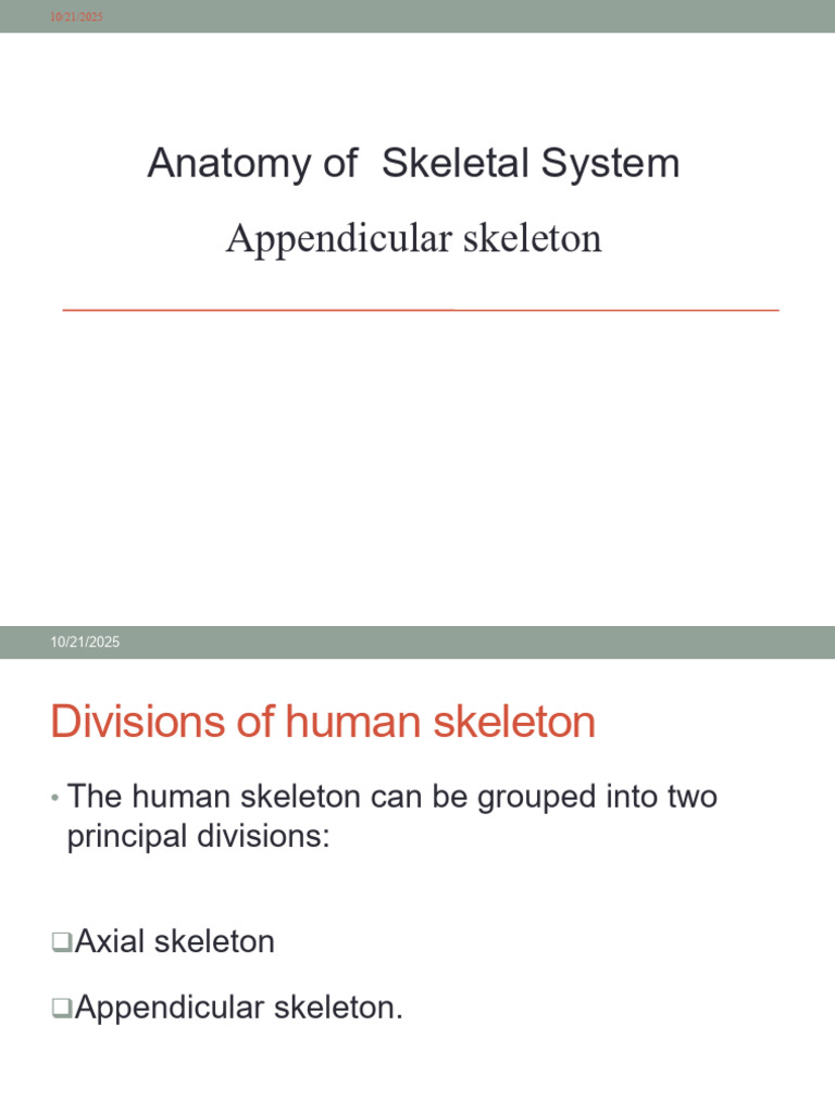 Lecture 1+2 Skeletal System Appendicular Skeleton PPTX New Edit | PDF ...
