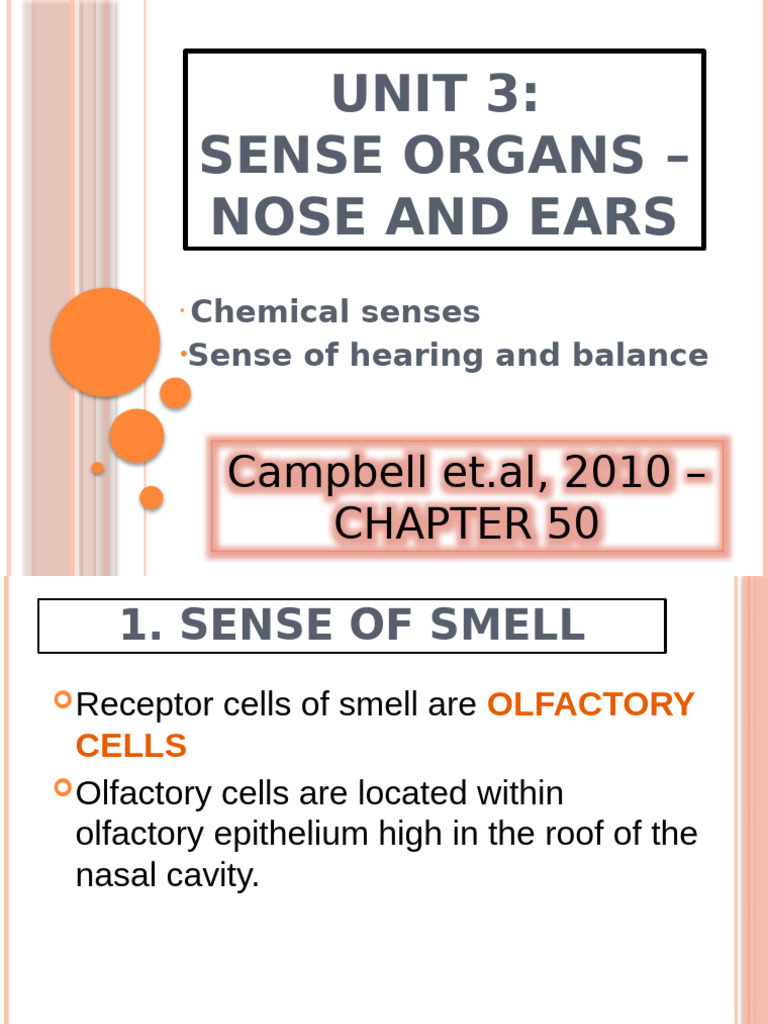 Unit 3 Sence Organs Ear and Nose | PDF | Ear | Hearing