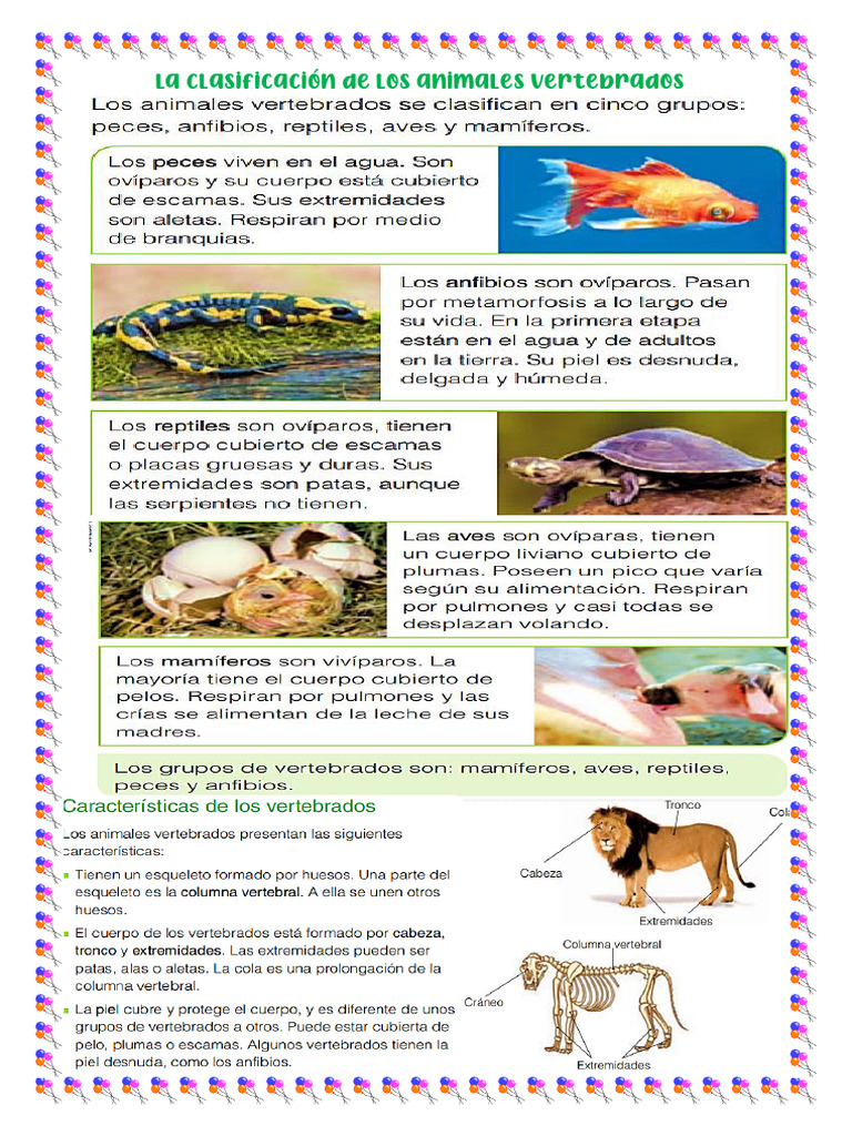 Clasificación de Animales Vertebrados | PDF | Vertebrados | Zoología