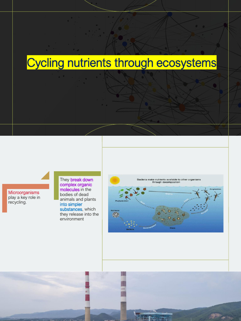 Chapter 8 Cycling Nutrients Through Ecosystems | PDF | Nitrate | Nitrogen