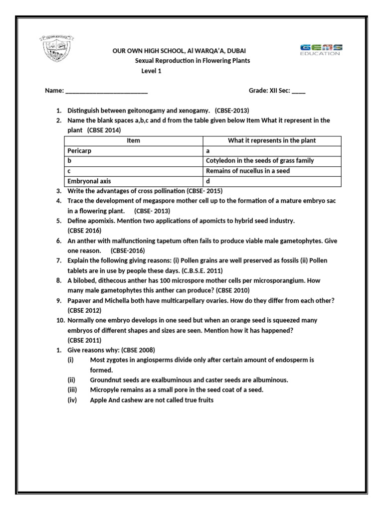 Differentiated Worksheet -Level 1 | PDF