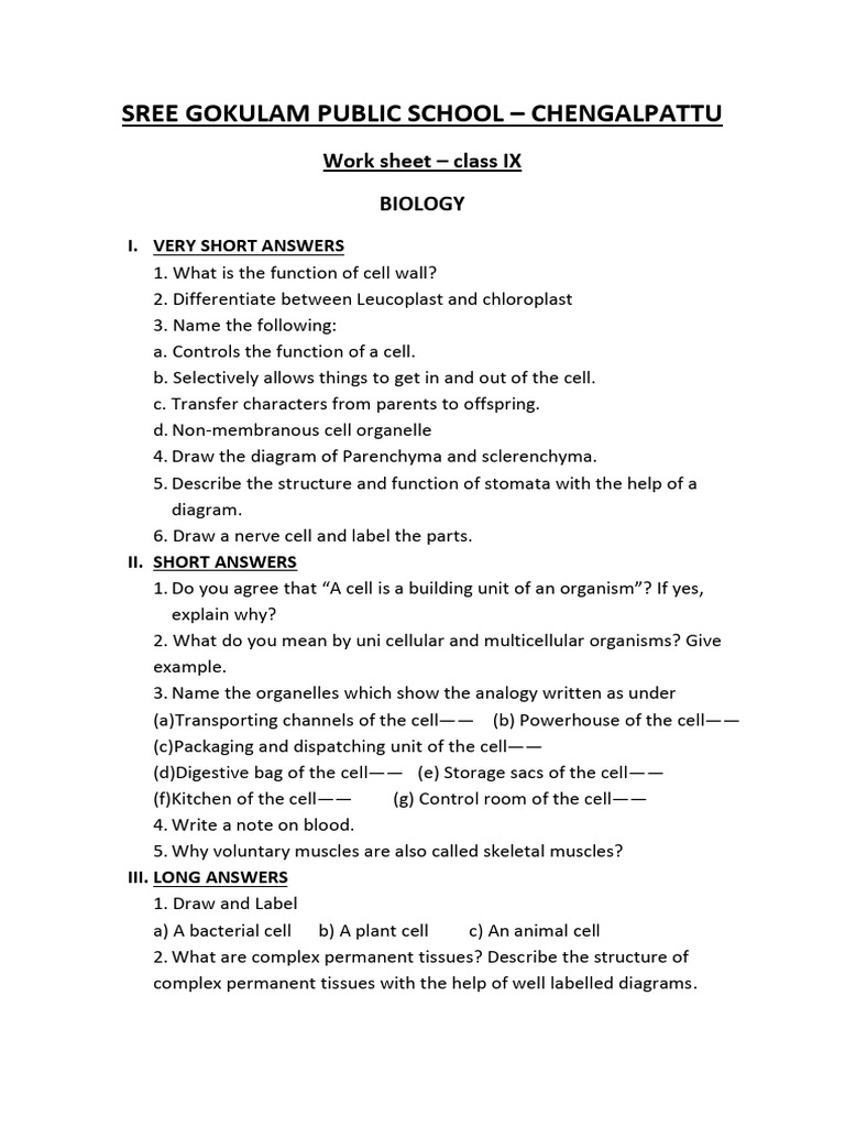 Class IX Biology Worksheet: Cell Structure | PDF