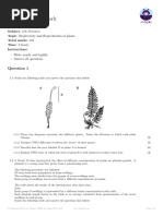 ? Excretion - Grade 11 Life Sciences | PDF
