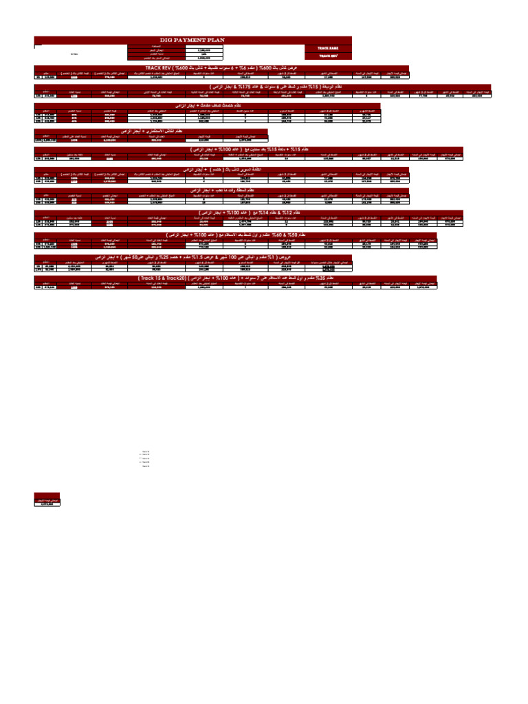 600 6 6 600 Track Rev: DIG Payment Plan | PDF