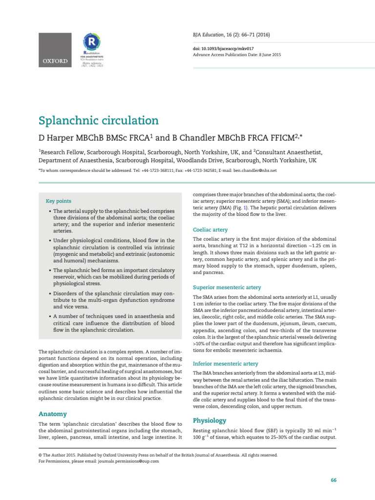 Splanchnic Circulation Overview | PDF | Large Intestine ...