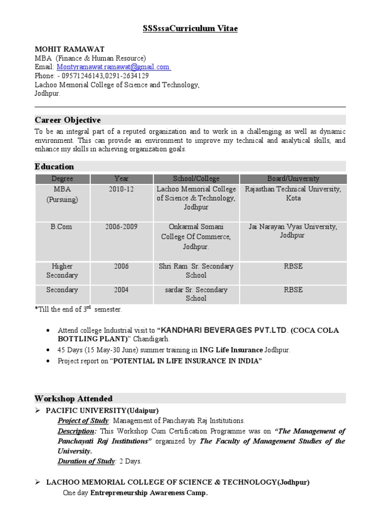 Mohit CV | PDF | Master Of Business Administration | Online Advertising