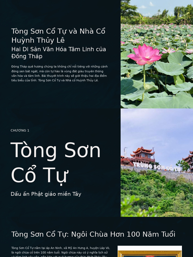 Tong Son Co Tu Va Nha Co Huynh Thuy Le | PDF