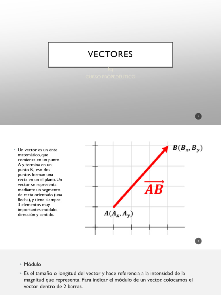 Conceptos Clave de Vectores Matemáticos | PDF | Vector Euclidiano ...