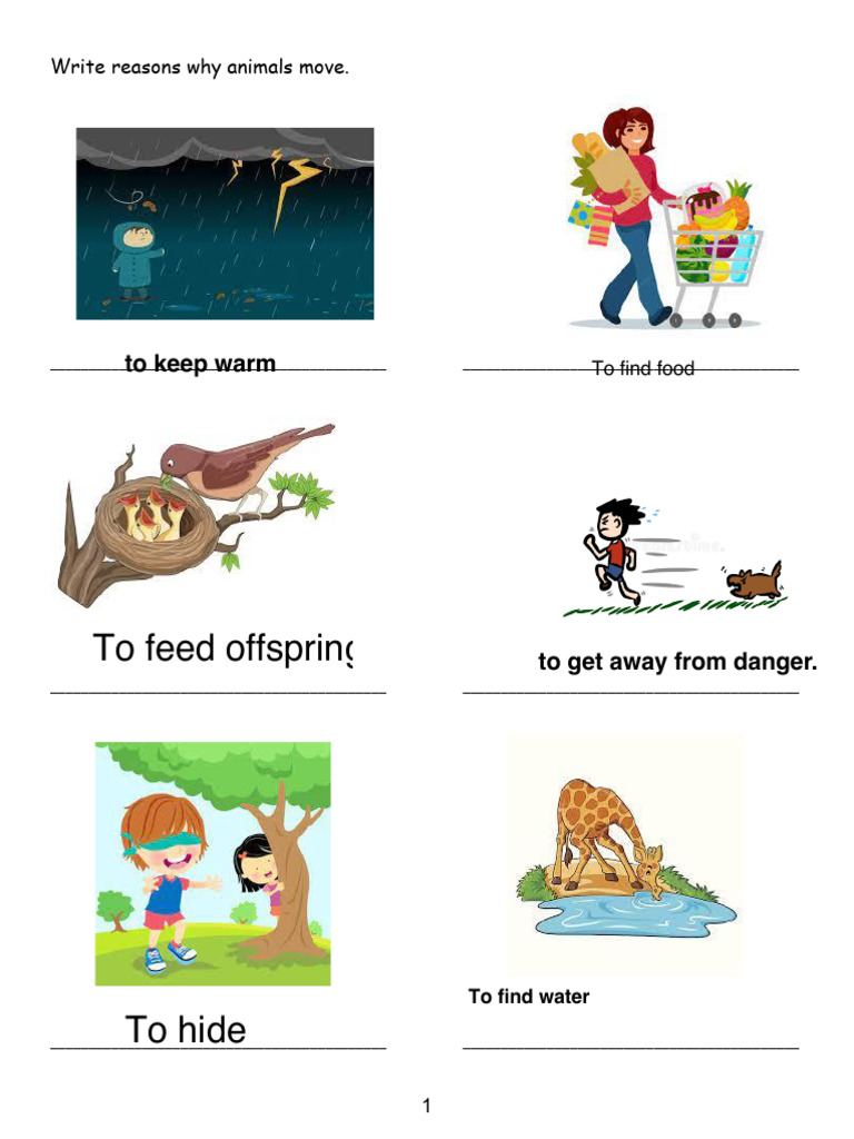 Science Week3 Term1 | PDF