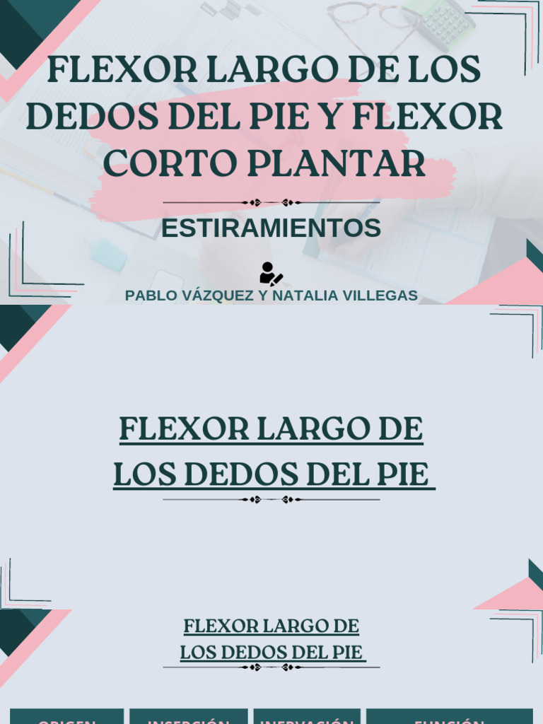 Flexor Largo de Los Dedos Del Pie y Flexor Corto Plantar | PDF
