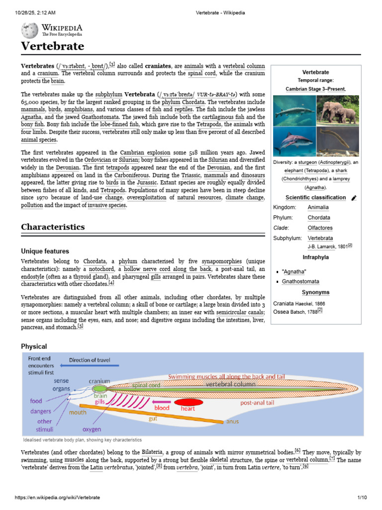 Vertebrate - Wikipedia | PDF | Vertebrates | Chordates