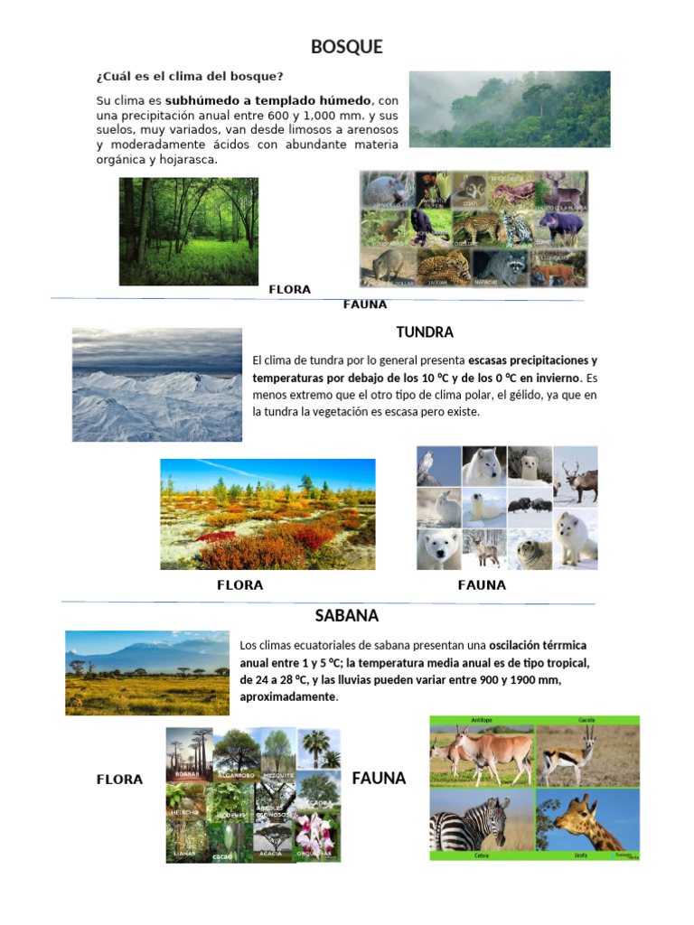 Clima del bosque templado subhúmedo | PDF | Clima templado | Clima