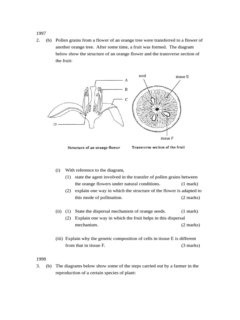 Orange Flower Pollination and Seed Dispersal | PDF | Flowers | Sexual ...