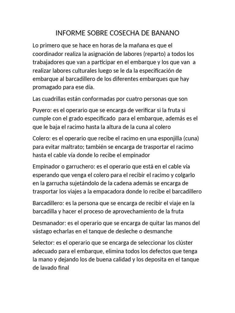 Proceso de Cosecha de Banano Detallado | PDF