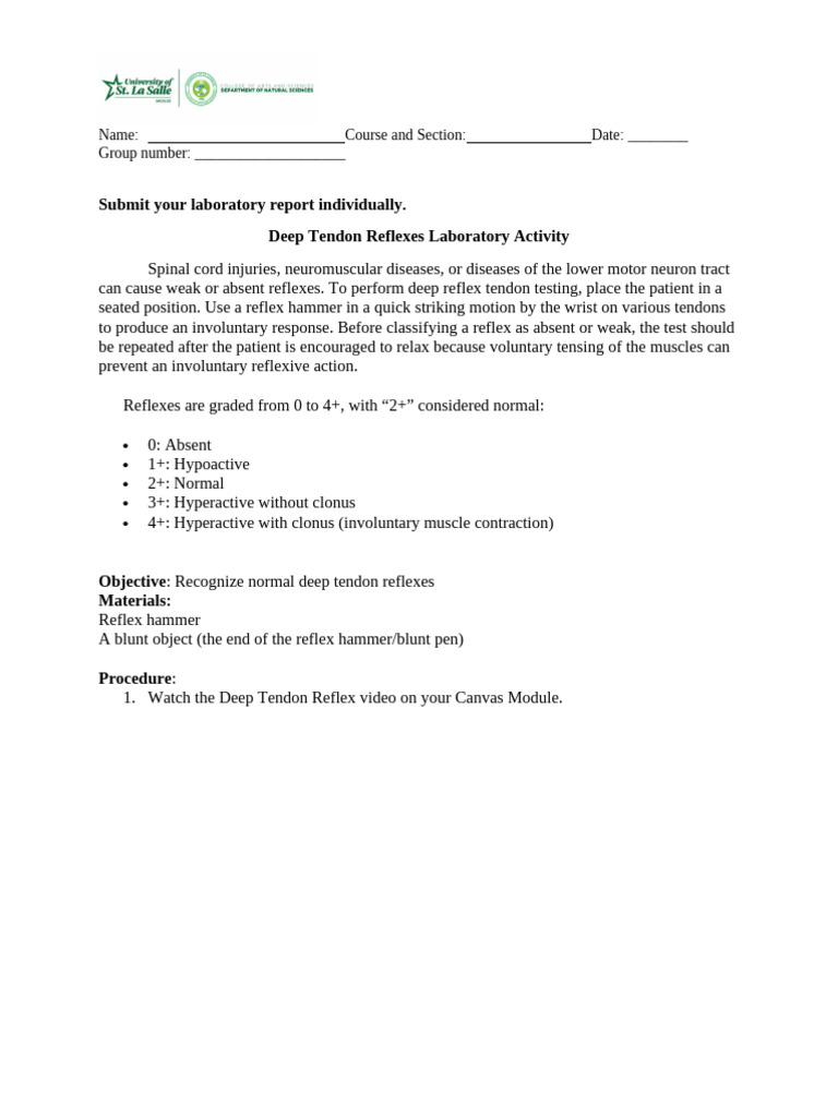 Brachioradialis Reflex Testing Guide | PDF | Arm | Anatomical Terms Of ...