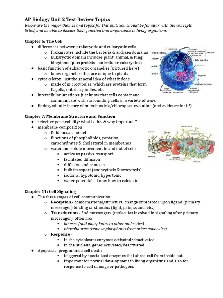 AP Bio Unit 2 Test Review Topics | PDF | Cell Membrane | Cell Cycle