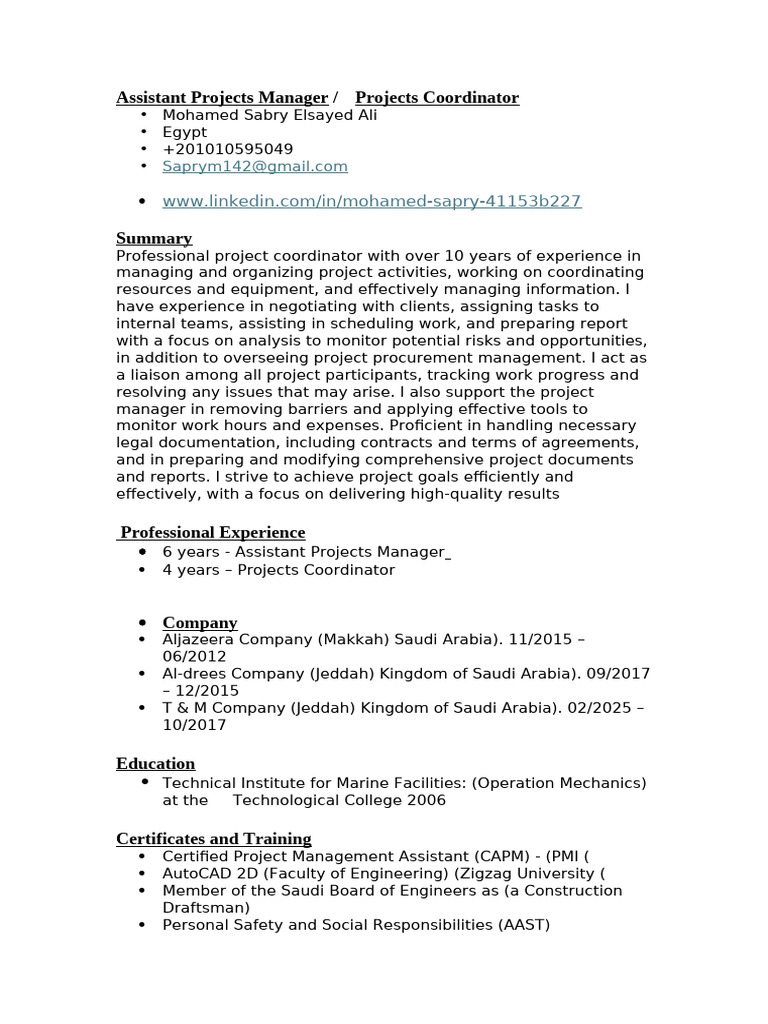 Project Manager Assistant | PDF | Business