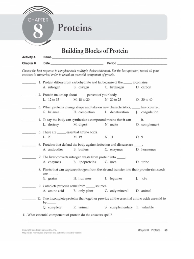 Building Blocks of Protein | PDF