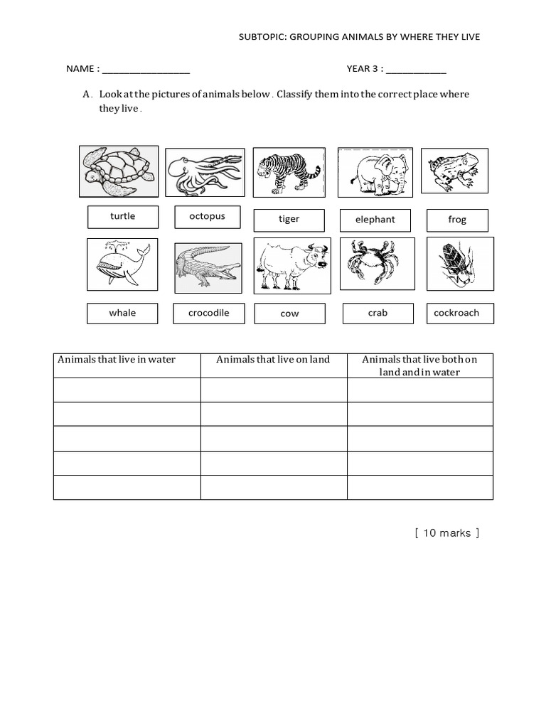 Animal Habitat Classification Worksheet | PDF | Zoology | Organisms