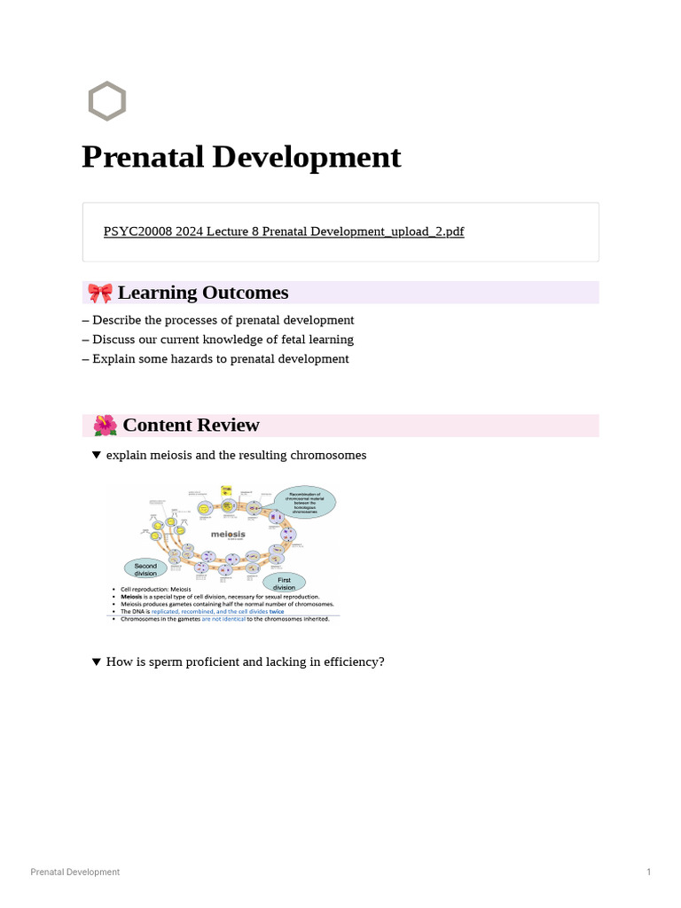 Understanding Prenatal Development Processes | PDF