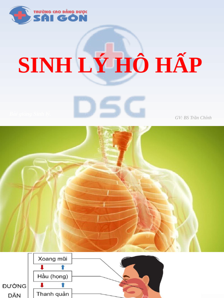 8. SL Hô hấp | PDF
