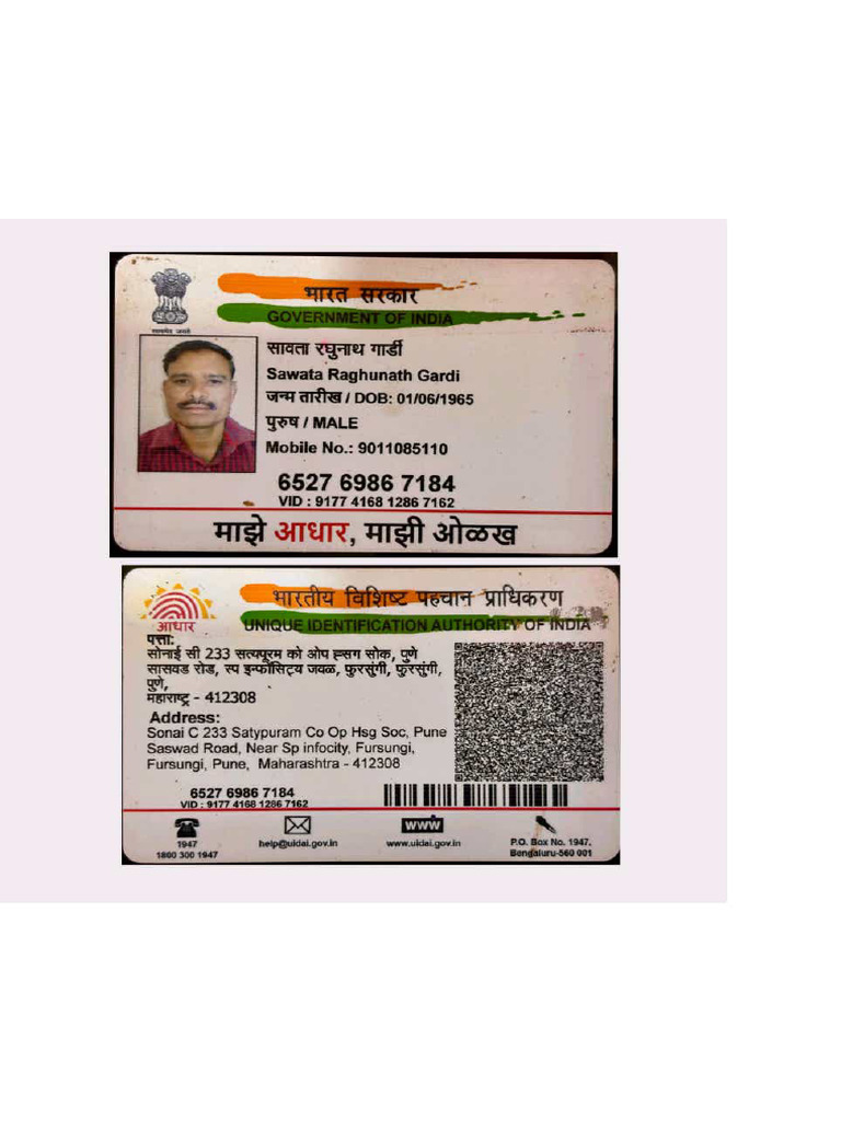 Sawata Raghunath Gardi | PDF